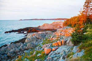 Cutler Coast Trail In Maine - Hike Spectacular Sea Cliffs