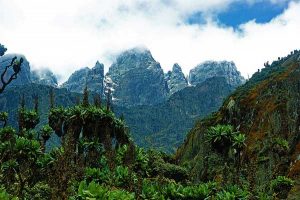 Rwenzori – Glaciers Of The Mountains Of The Moon