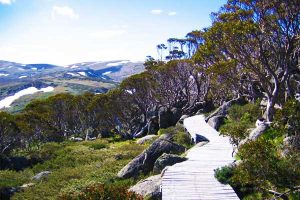 Australian Alps – For The Tallest Peaks In Mainland Australia