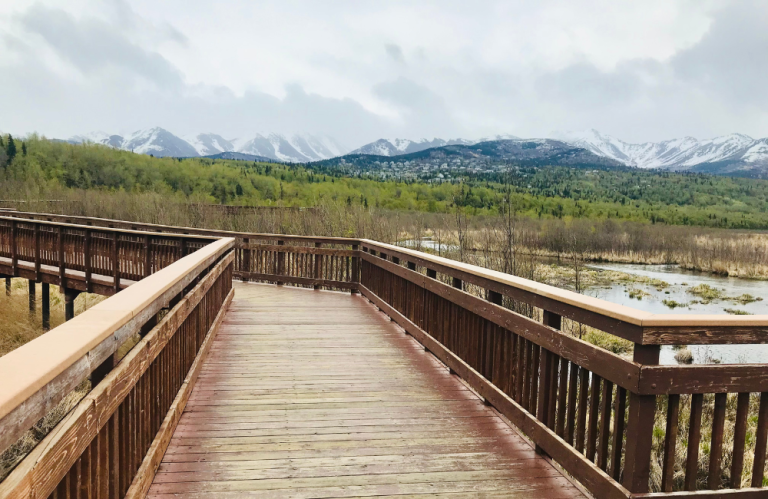Hiking Near Anchorage, Alaska: The Best Trails