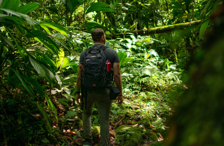 Rainforest Hiking: Essential Gear and Considerations