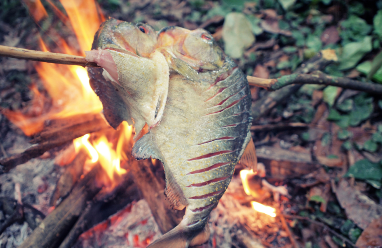Rainforest Hiking: Essential Gear and Considerations